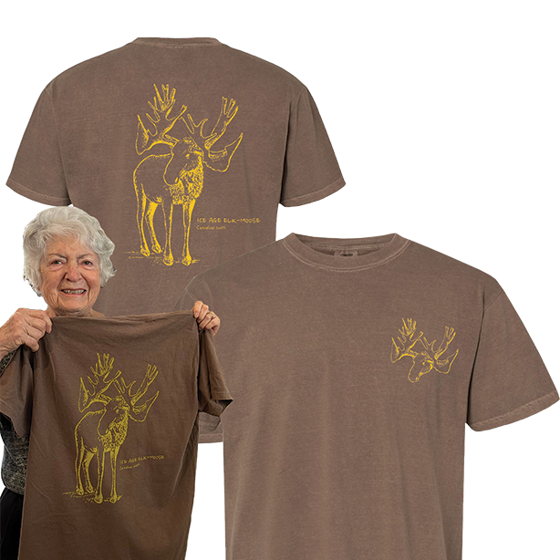 ArtFair Apparel